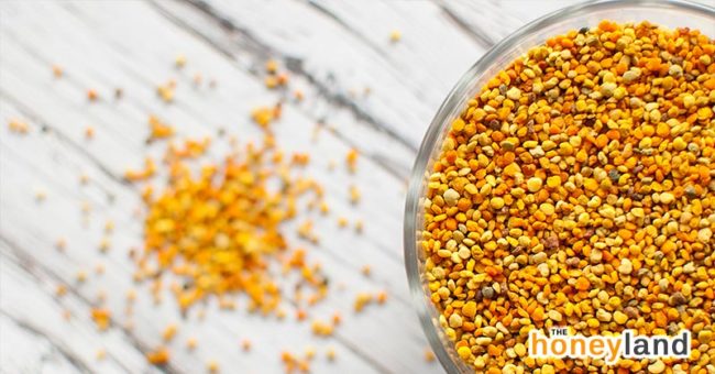 Polline proprietà e benefici: guida sull'utilizzo sicuro